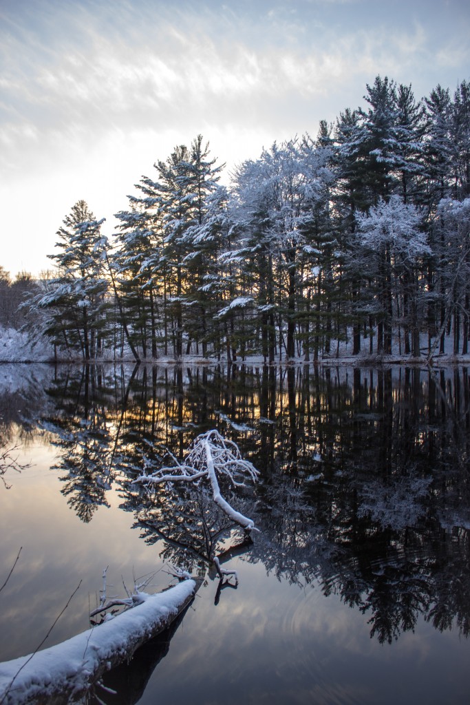 Kaitlin Woyak – Entry 4219 - Gallery Collection Blog